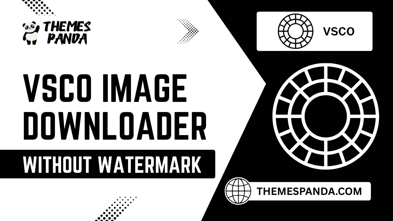 VSCO Image Downloader | Themespanda